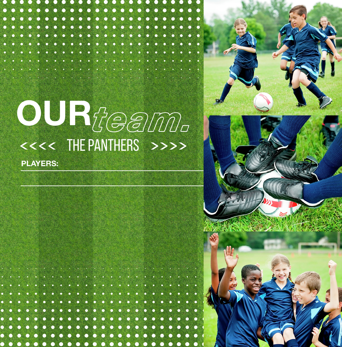 Custom Sports Photo Books, Scrapbooks and Albums