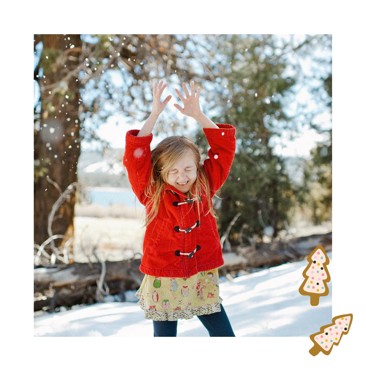 The Best Holiday Photo Albums - Christmas Photo Books