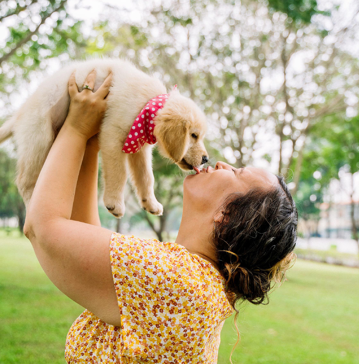 The Best Pet Photo Album - Dog Photo Album