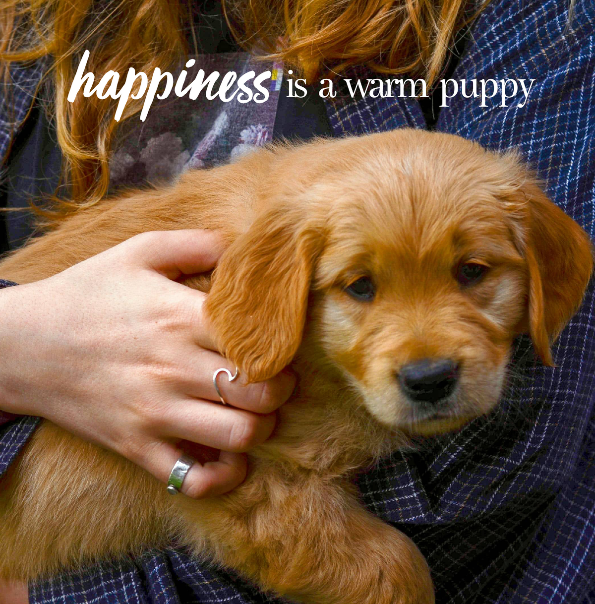 The Best Pet Photo Album - Dog Photo Album